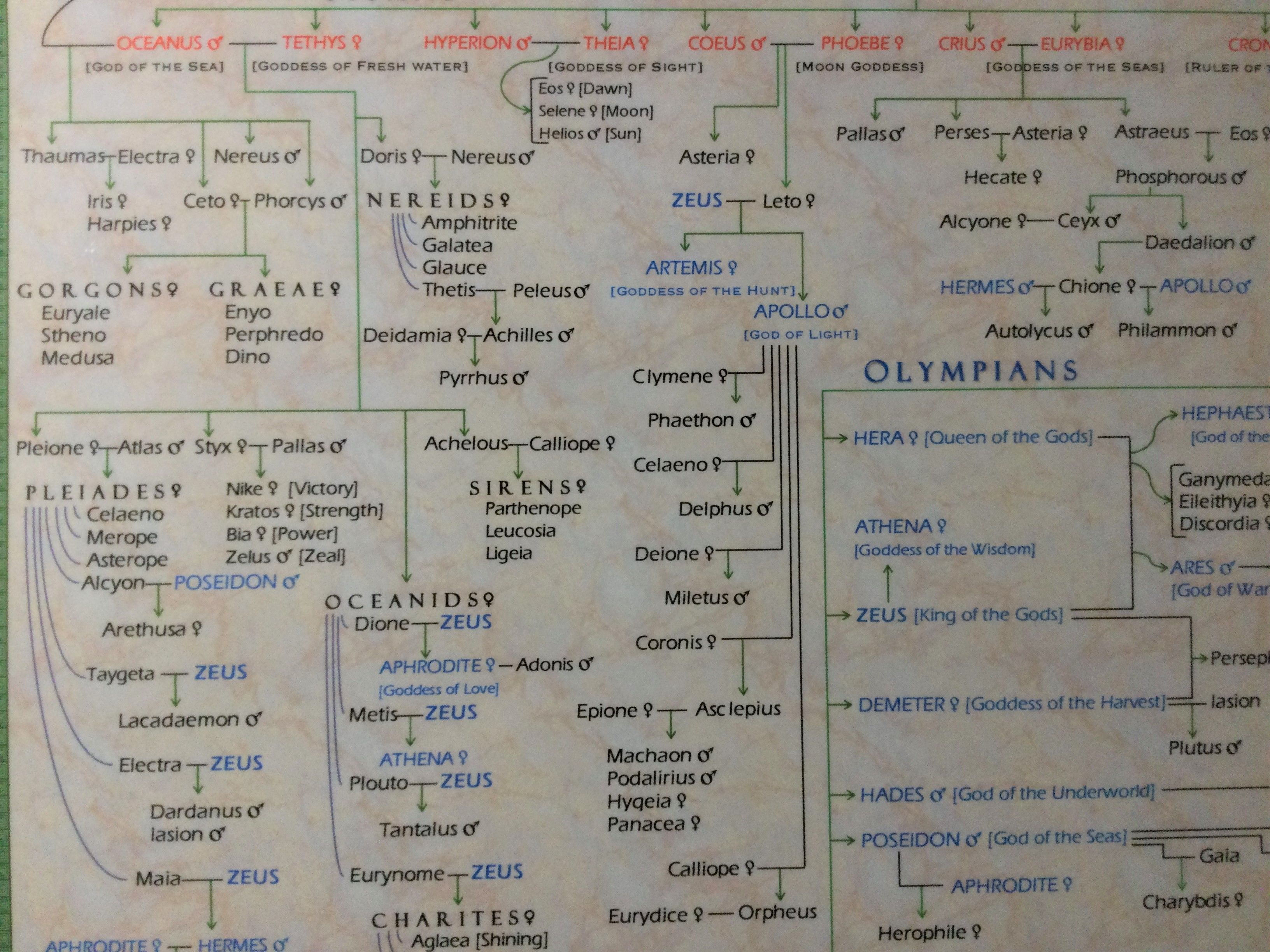 Apollo Greek God Family Tree
