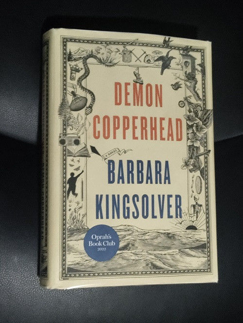 Demon Copperhead by Barbara Kingsolver | Hardcover | 2022 | Harper ...