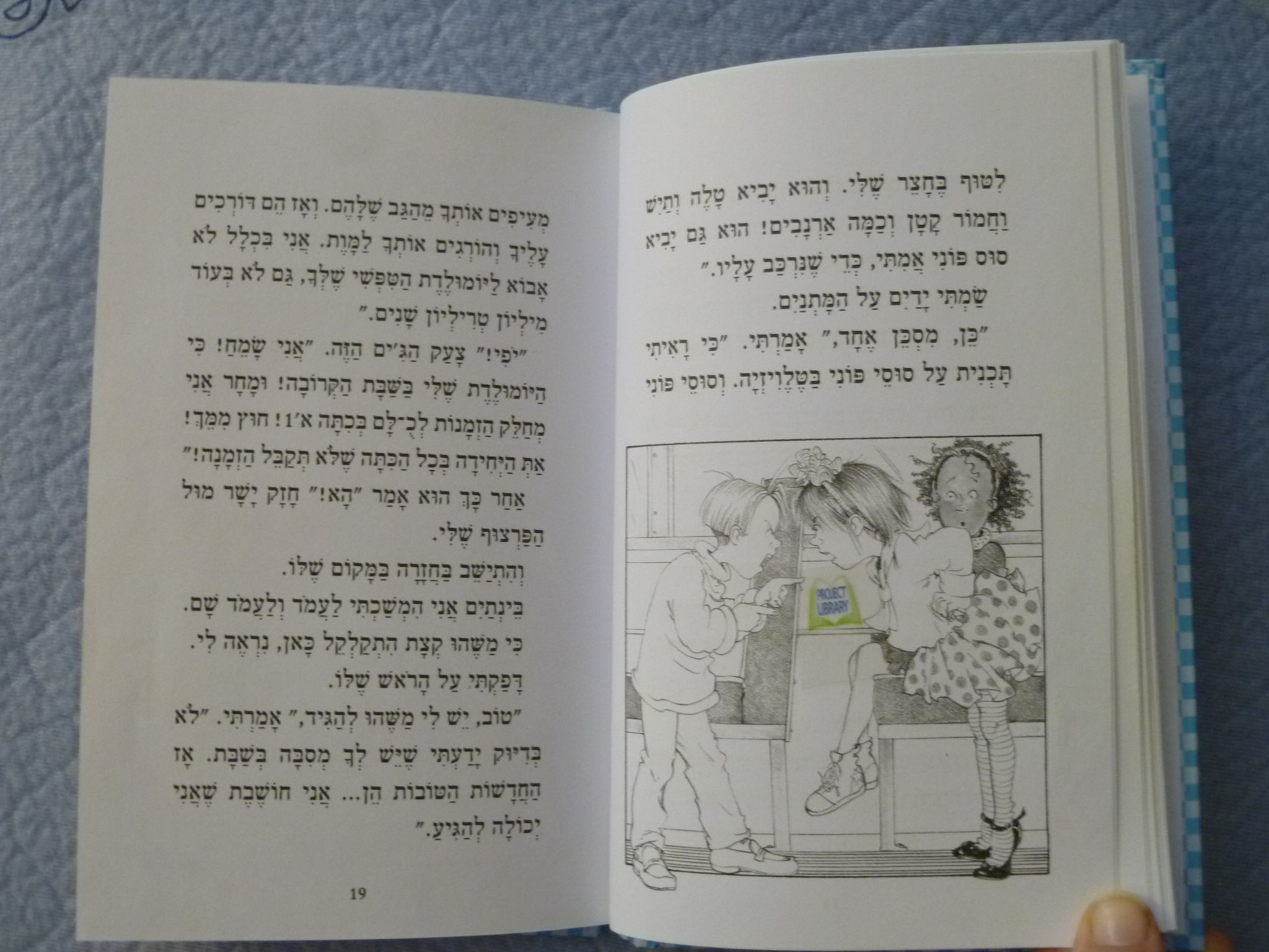 Junie B Jones And That Meanie Jims Birthday