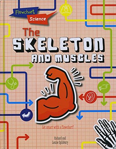 Flowchart Science: The Human Body: The Skeleton and Muscles by ...