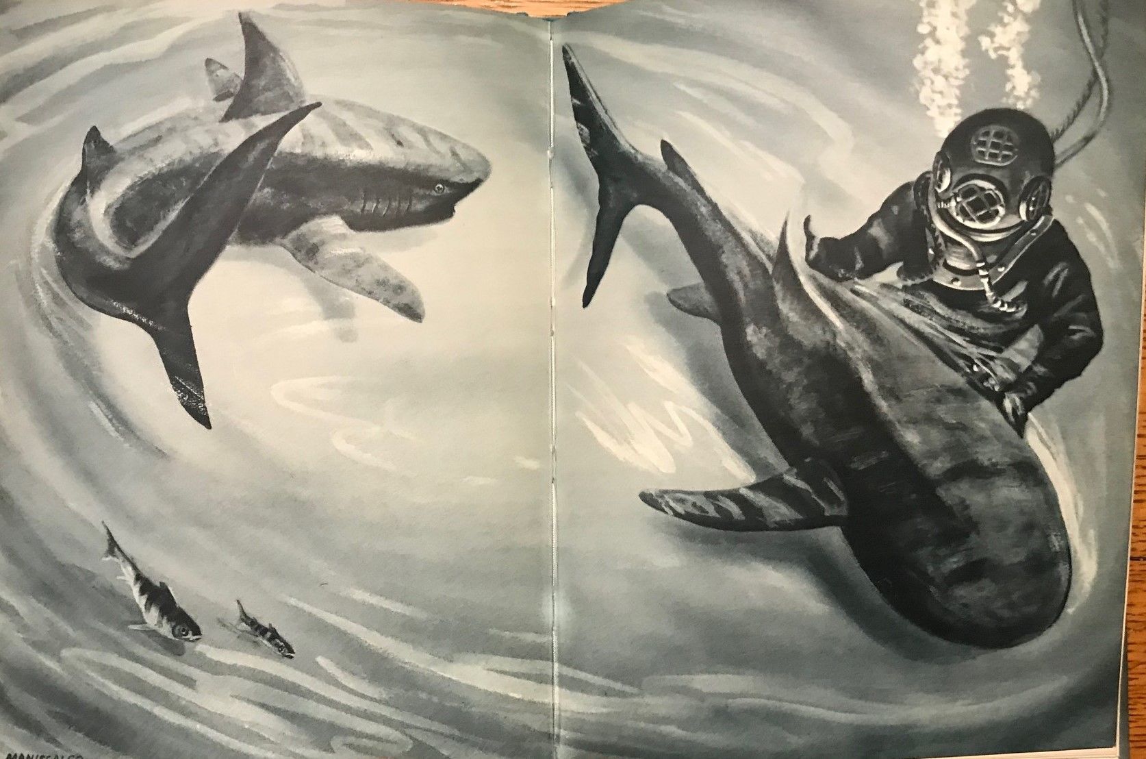 The Sea Hunt by Berres, Frances, and Briscoe, William S., and Coleman ...