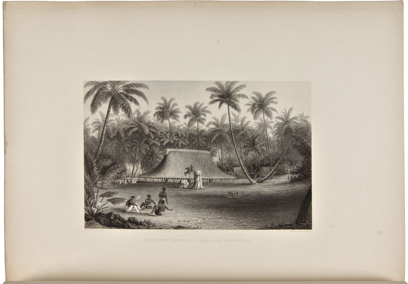 NARRATIVE OF THE UNITED STATES EXPLORING EXPEDITION. DURING THE YEARS ...