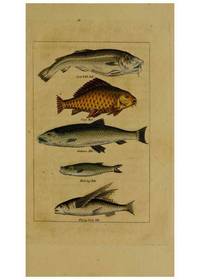natural history of birds fish insects by buffon georges louis - Biblio.com
