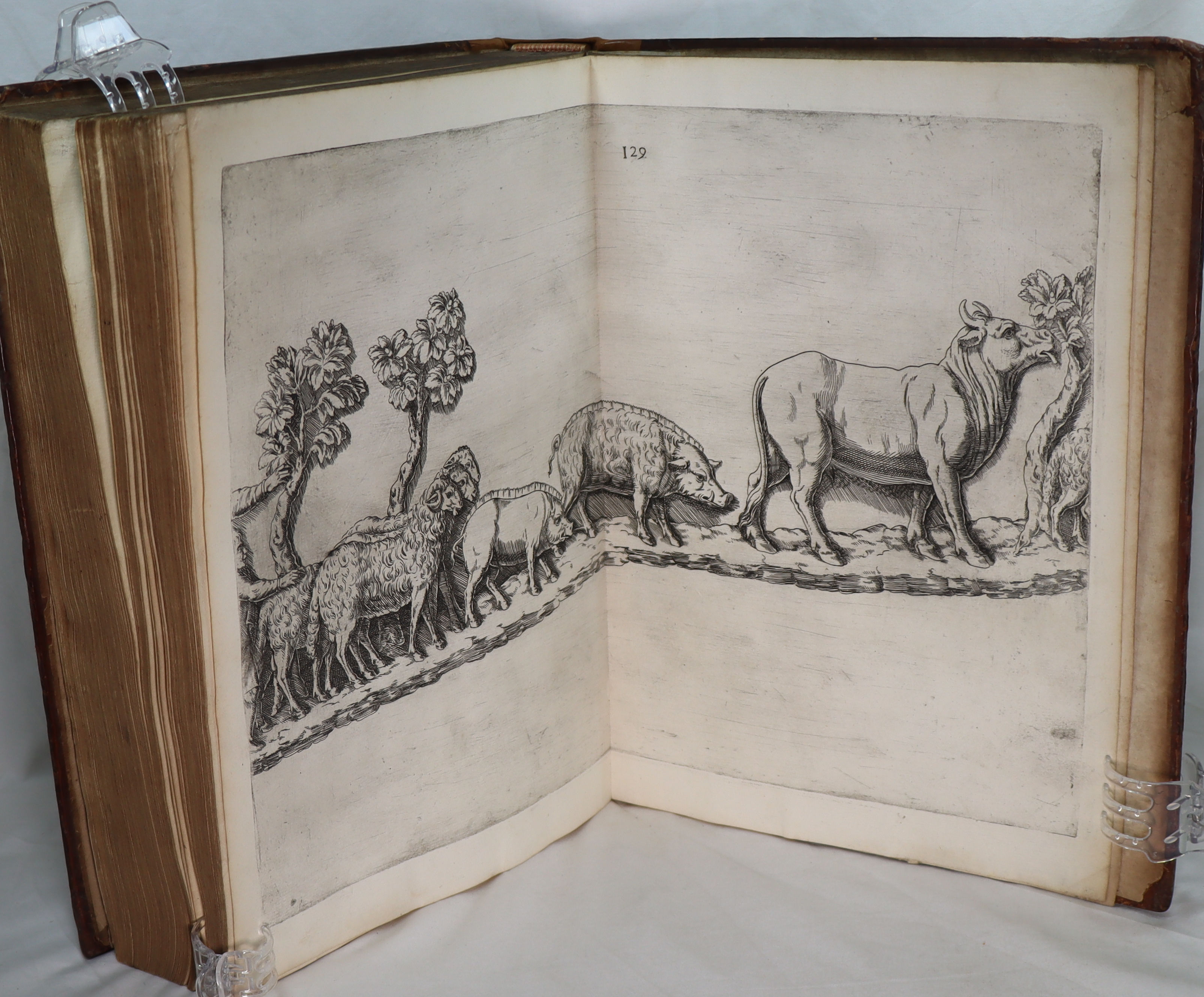 Columnae Traiani. by F Alfonso Ciiacono Hispano | Leather binding ...