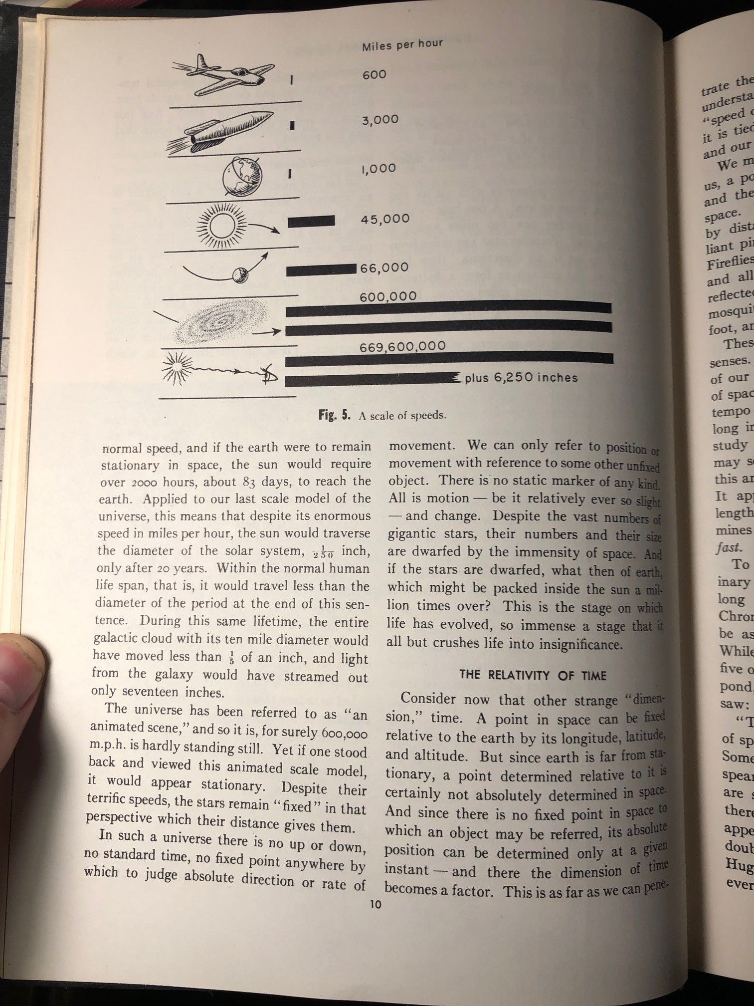 The world of life, a general biology by Pauli, Wolfgang Frederick ...