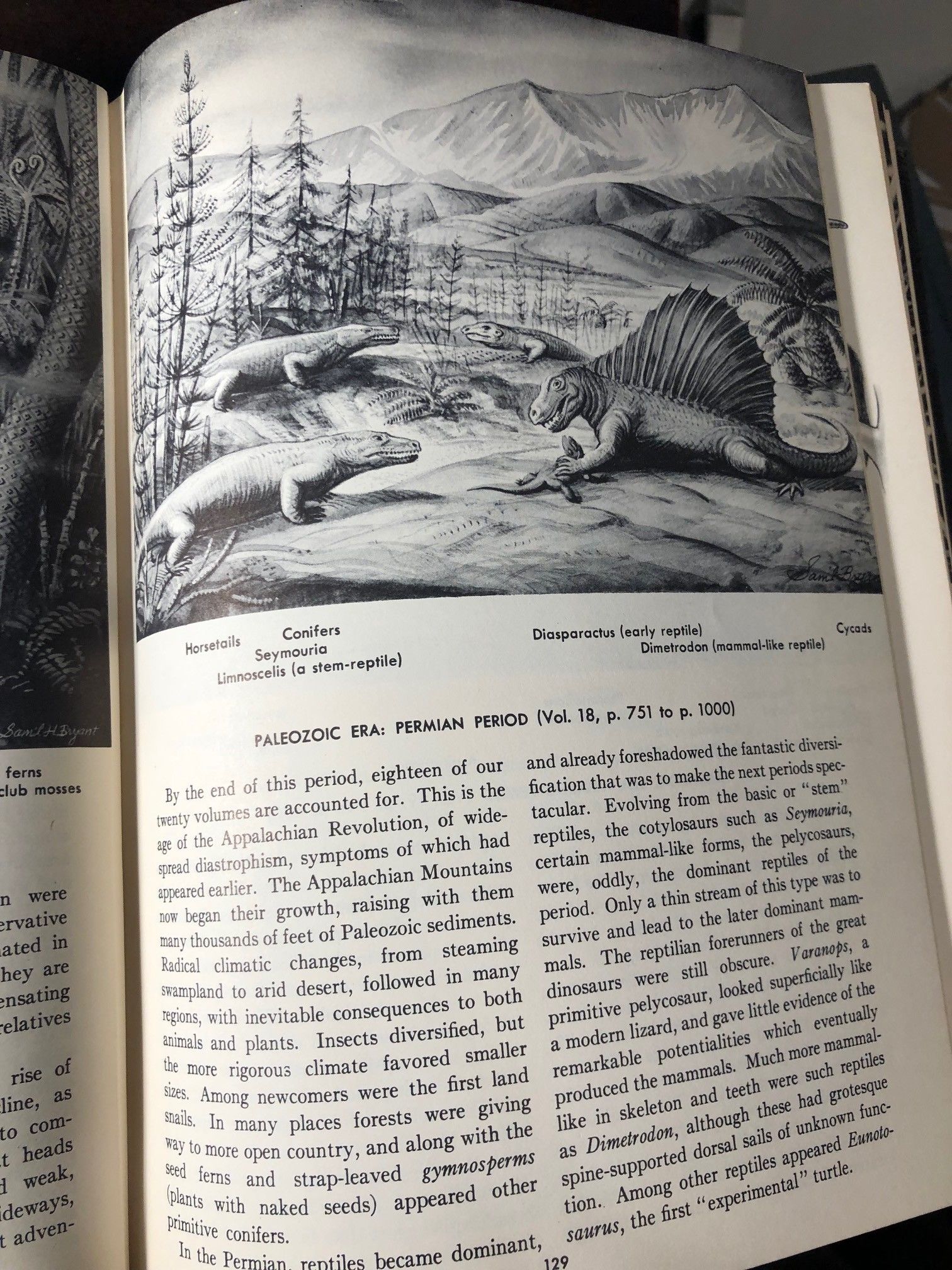 The world of life, a general biology by Pauli, Wolfgang Frederick ...