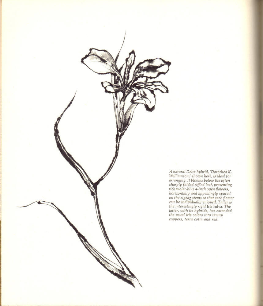 Wild Wealth by Sears, Paul Bigelow; Becker, Marion Rombauer; Poetker ...