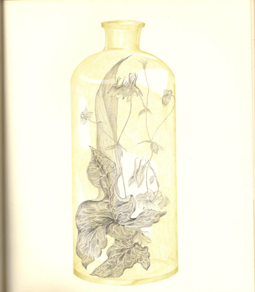 Wild Wealth by Sears, Paul Bigelow; Becker, Marion Rombauer; Poetker ...