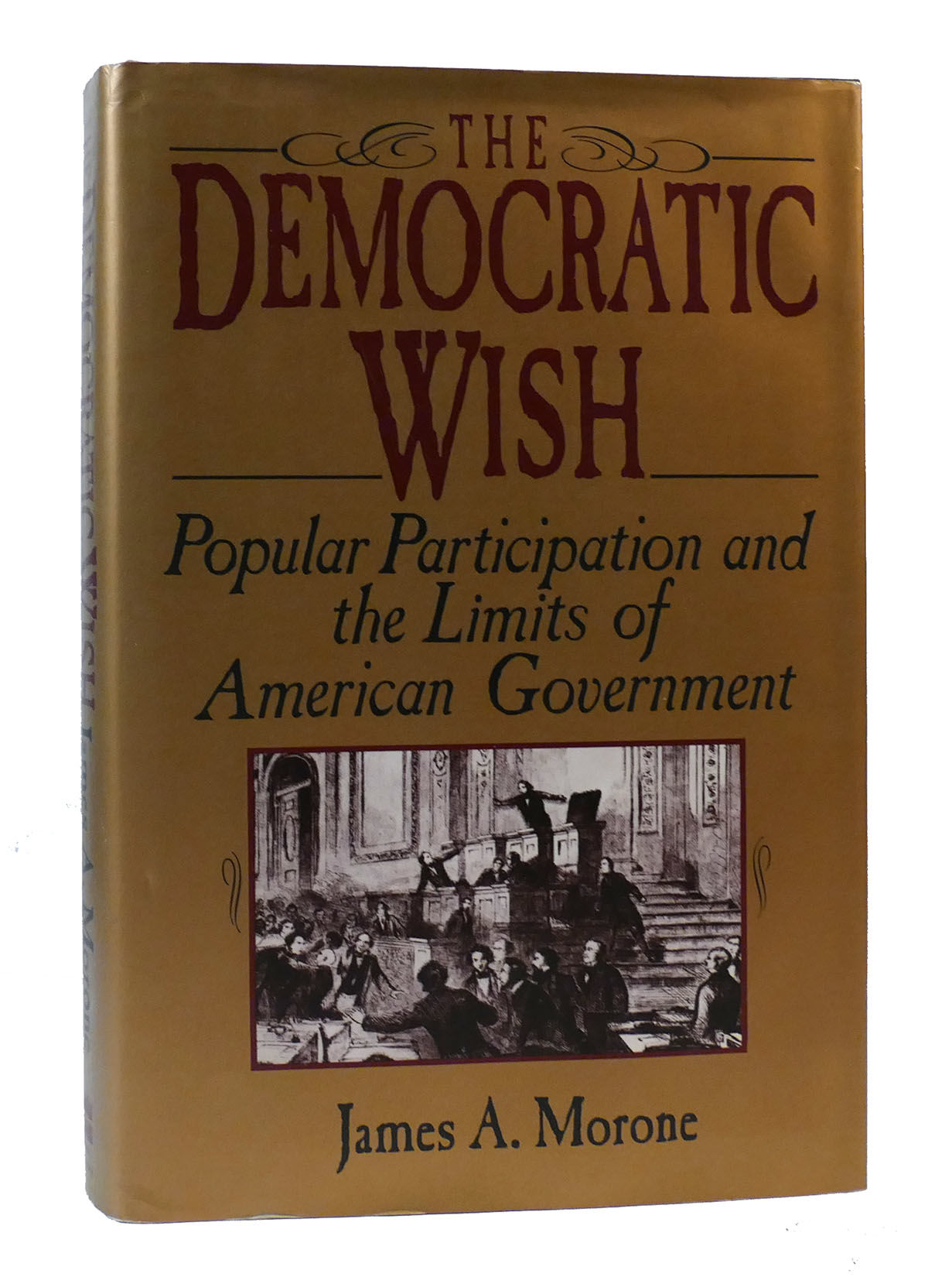 BIBLIO | THE DEMOCRATIC WISH: POPULAR PARTICIPATION AND THE LIMITS OF ...