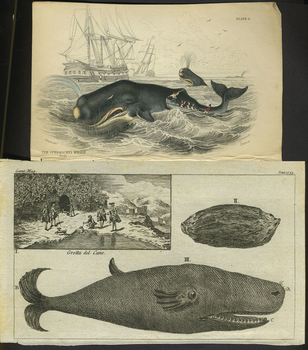 Fine collection of 143 items related to whaling & whales, including ...