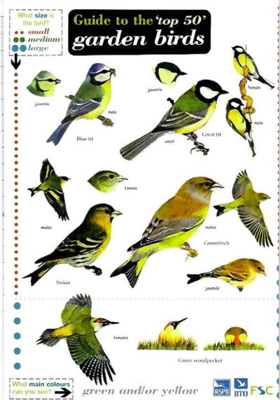 Top 50 Garden Birds (Identification Chart) by Jackson, E.; Simms, A ...