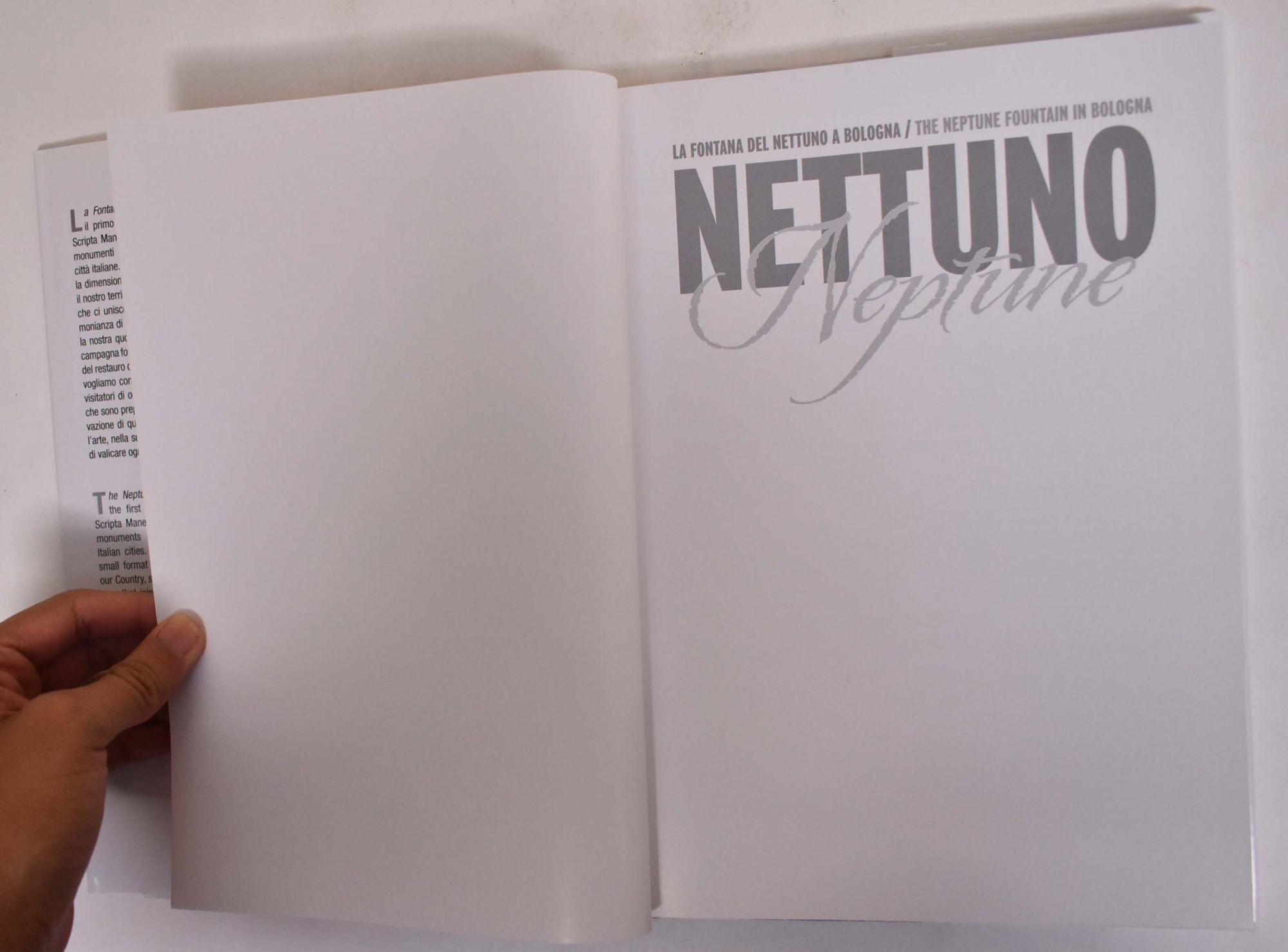 BIBLIO | La Fontana del Nettuno a Bologna: Nettuno/The Neptune Fountain in Bologna: Neptune by ...