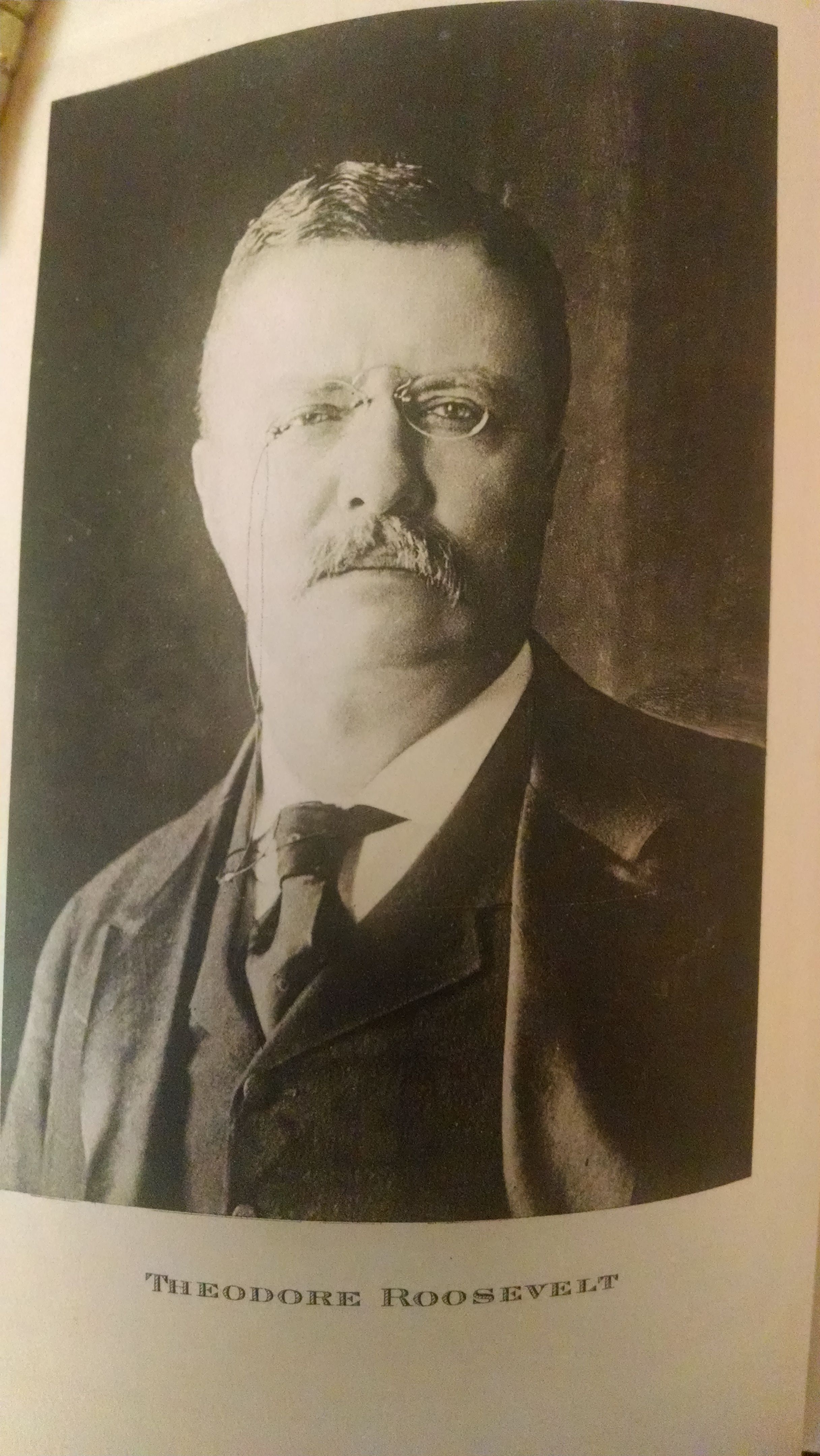 Theodore Roosevelt Book