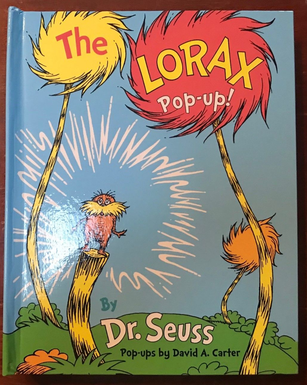 Dr Seuss The Lorax Book