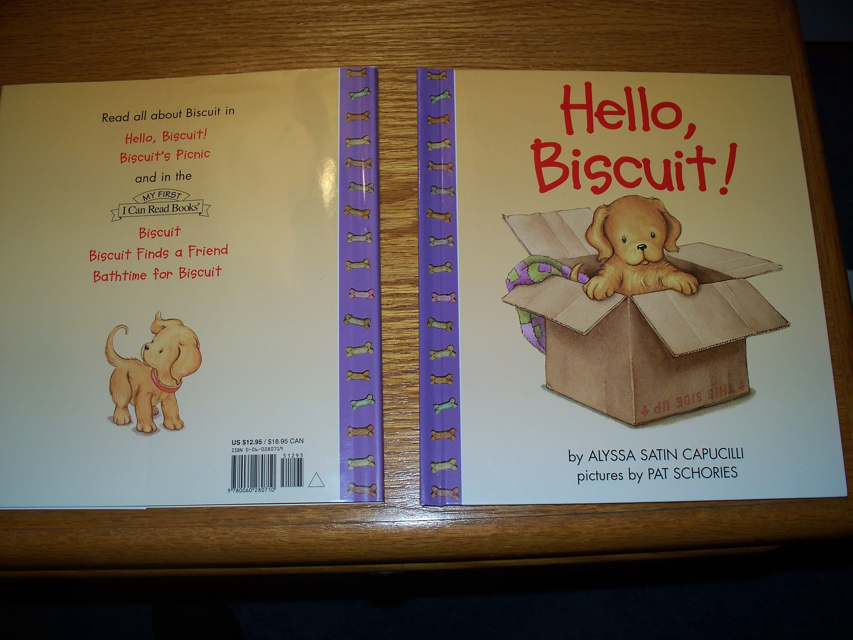 Biscuit Friend Book