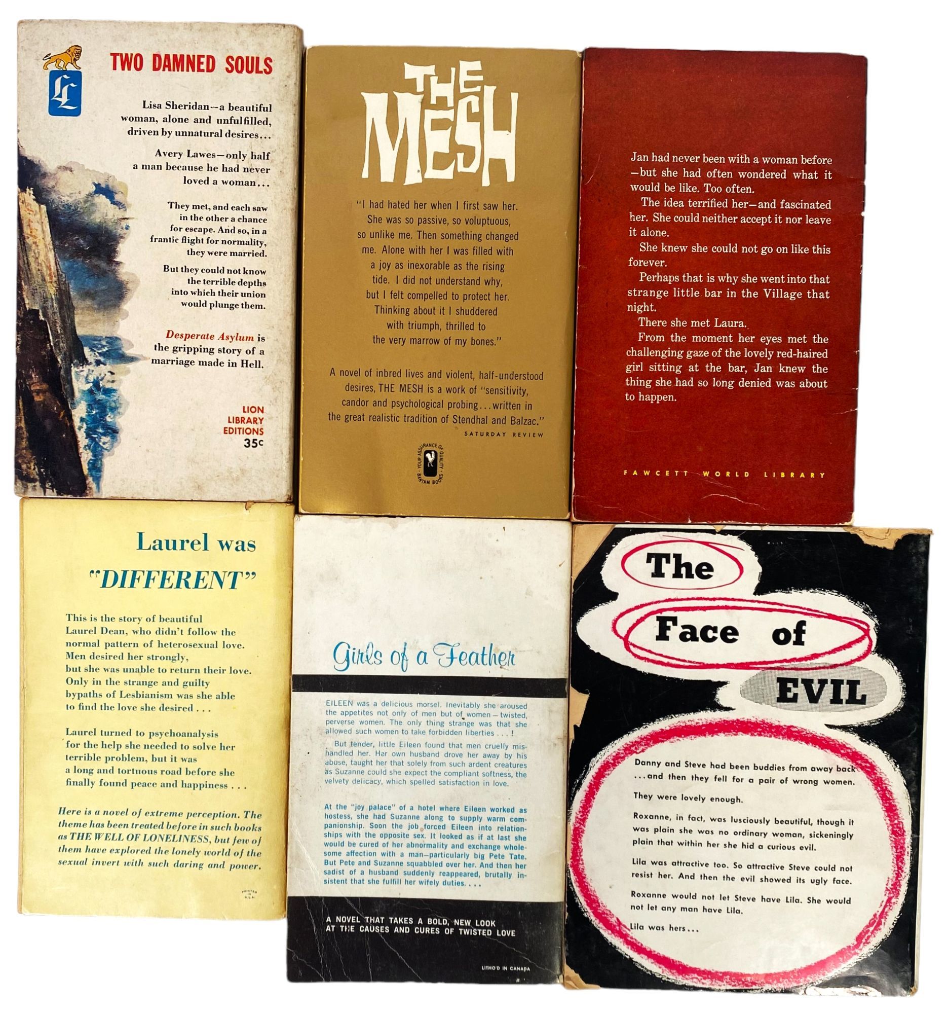 Collection of Six Early Lesbian Pulp Novels of the 1950s by Lesbian ...