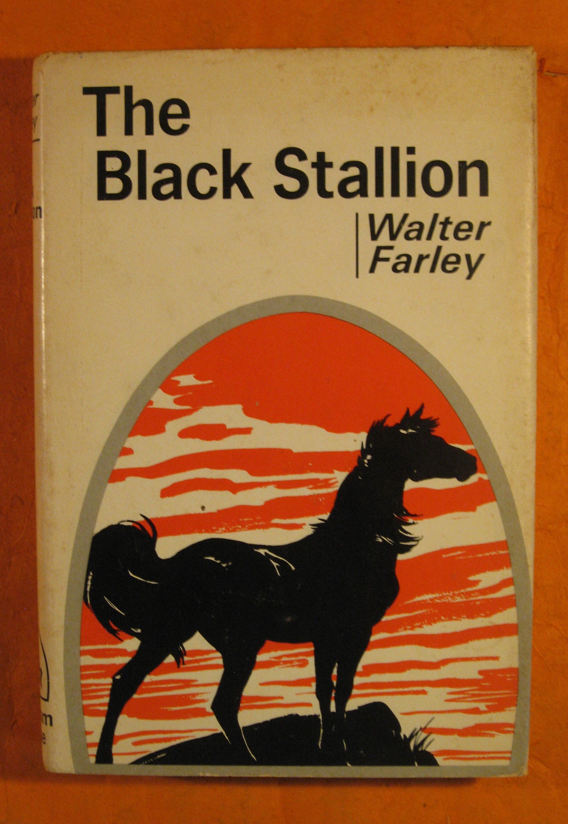 The Black Stallion Book Cover