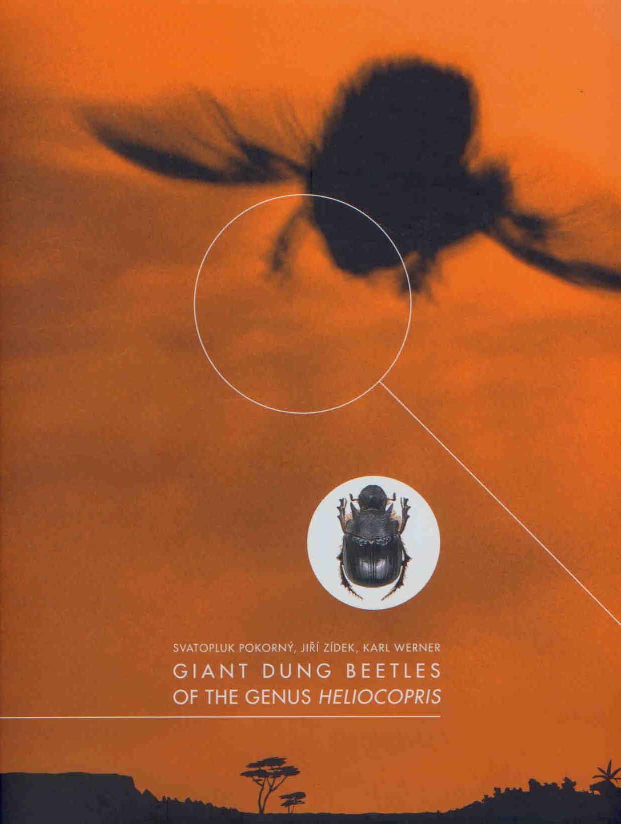 BIBLIO | The Giant Dung Beetles of the Genus Heliocopris (Scarabaeidae ...