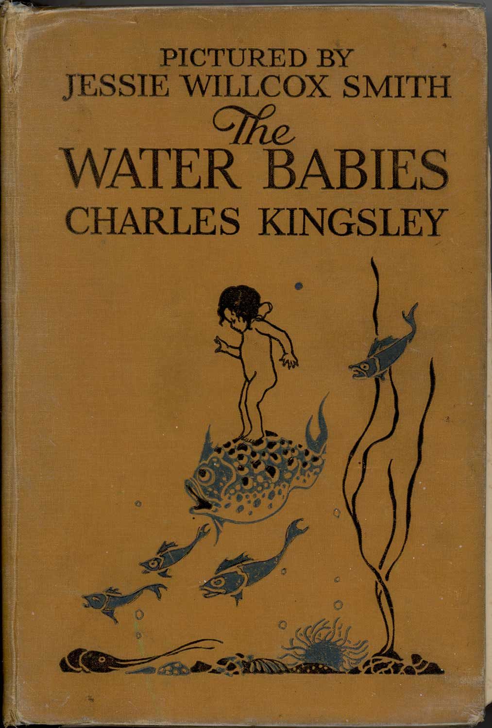 The Water Babies. by SMITH, JESSIE WILLCOX) Kingsley, Charles. Smith, Jessie Willcox (illus ...