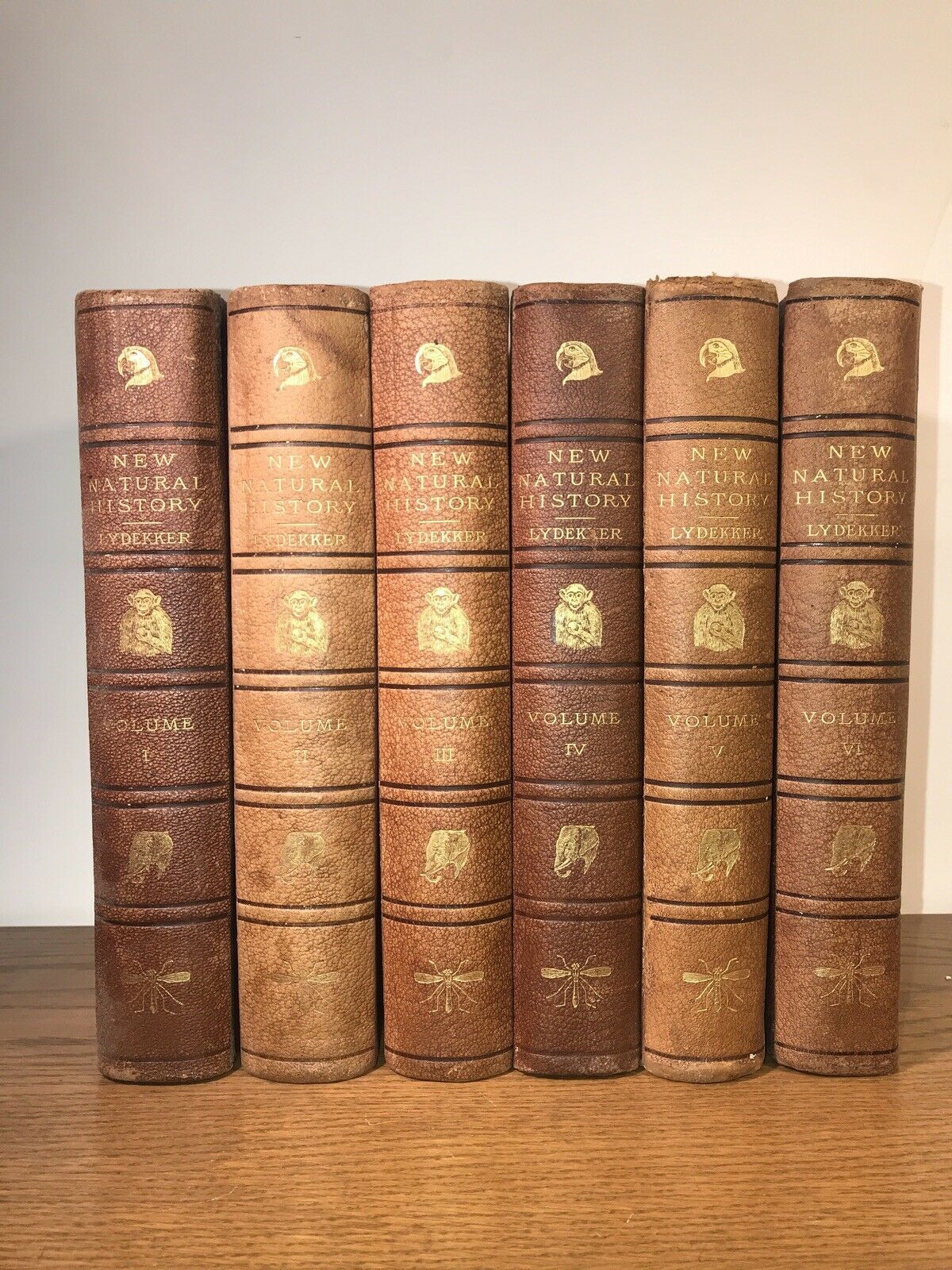 LEATHER Set;ENCYCLOPEDIA MASSIVE LIBRARY OF NATURAL HISTORY! plates ...