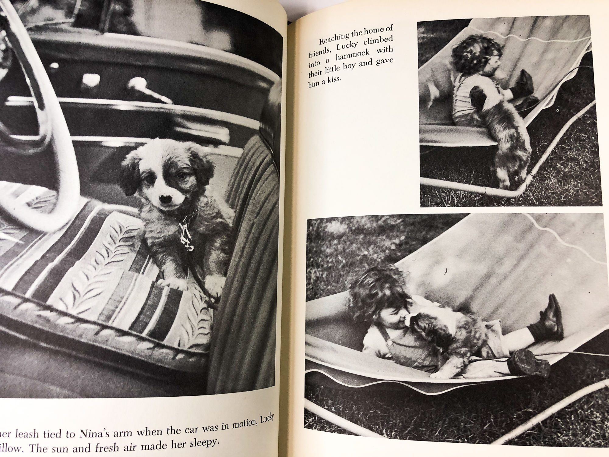 Lucky the Famous Foundling by Leen, Nina; Text by Ray Mackland ...