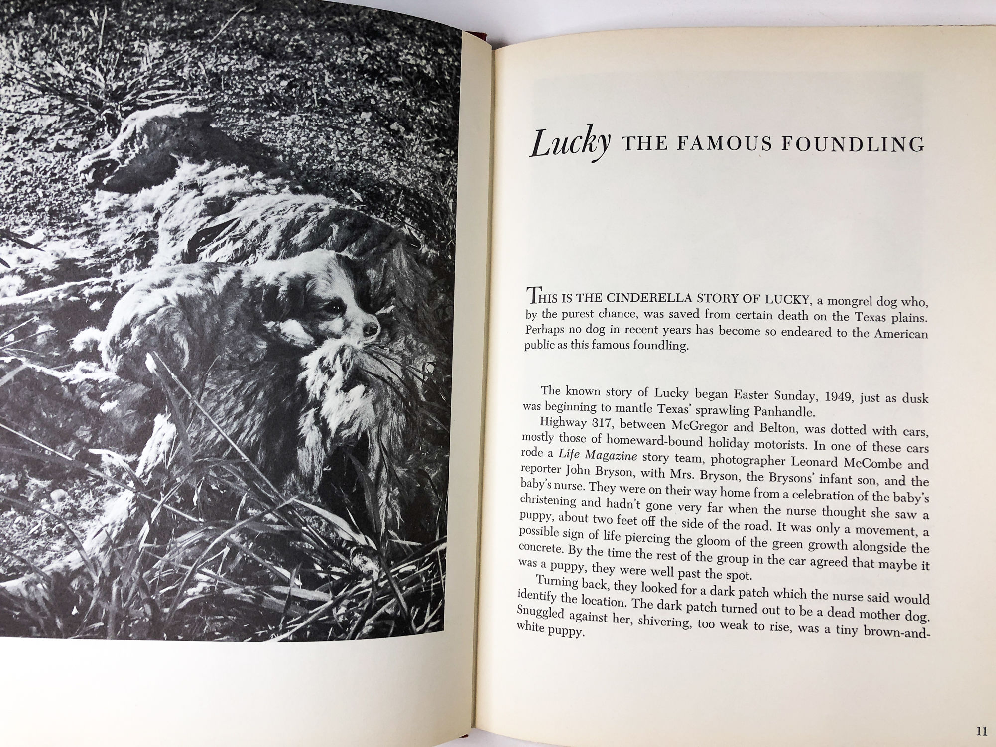 Lucky the Famous Foundling by Leen, Nina; Text by Ray Mackland ...