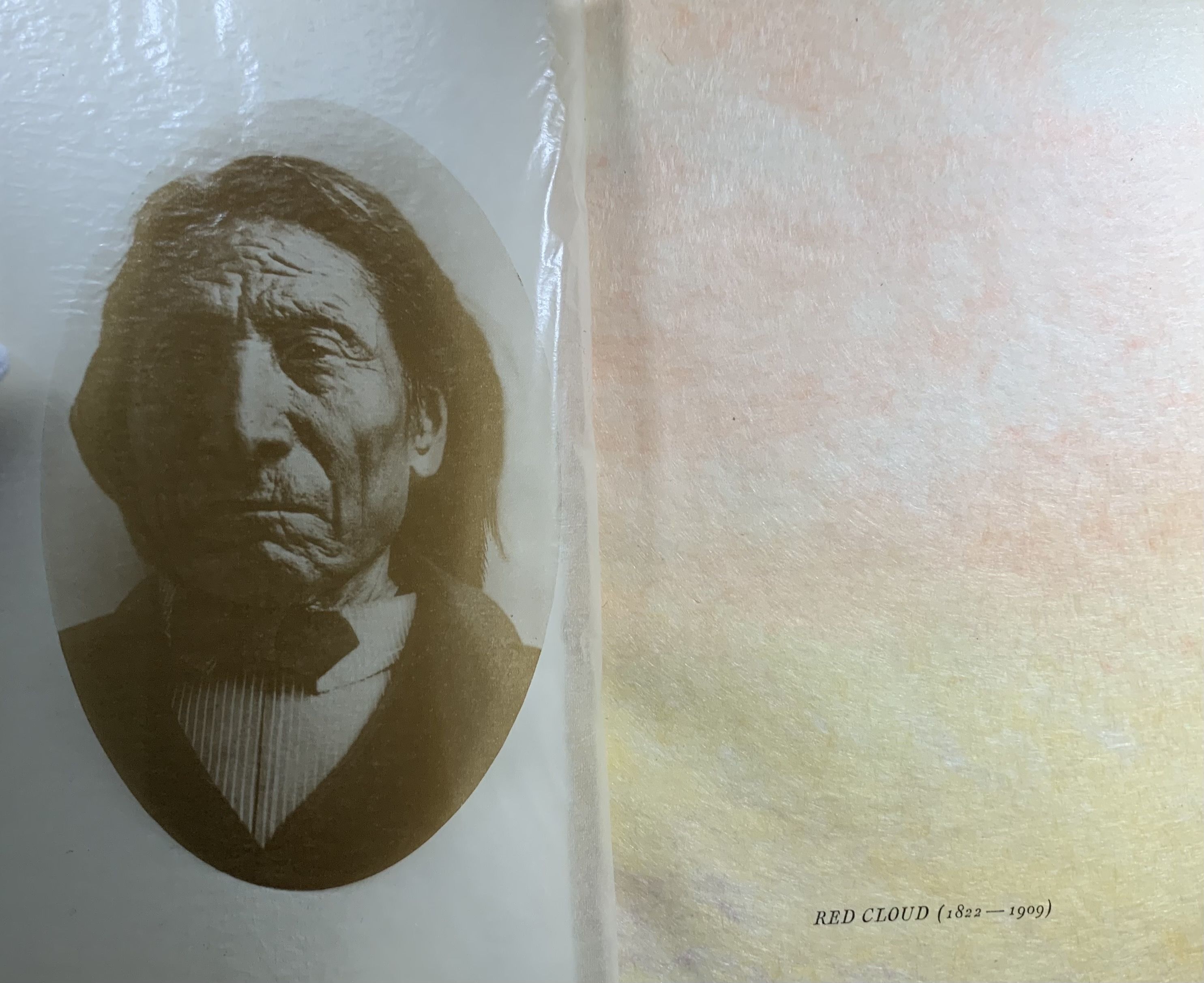 Sharon Stricker's Instagram, Twitter & Facebook on IDCrawl