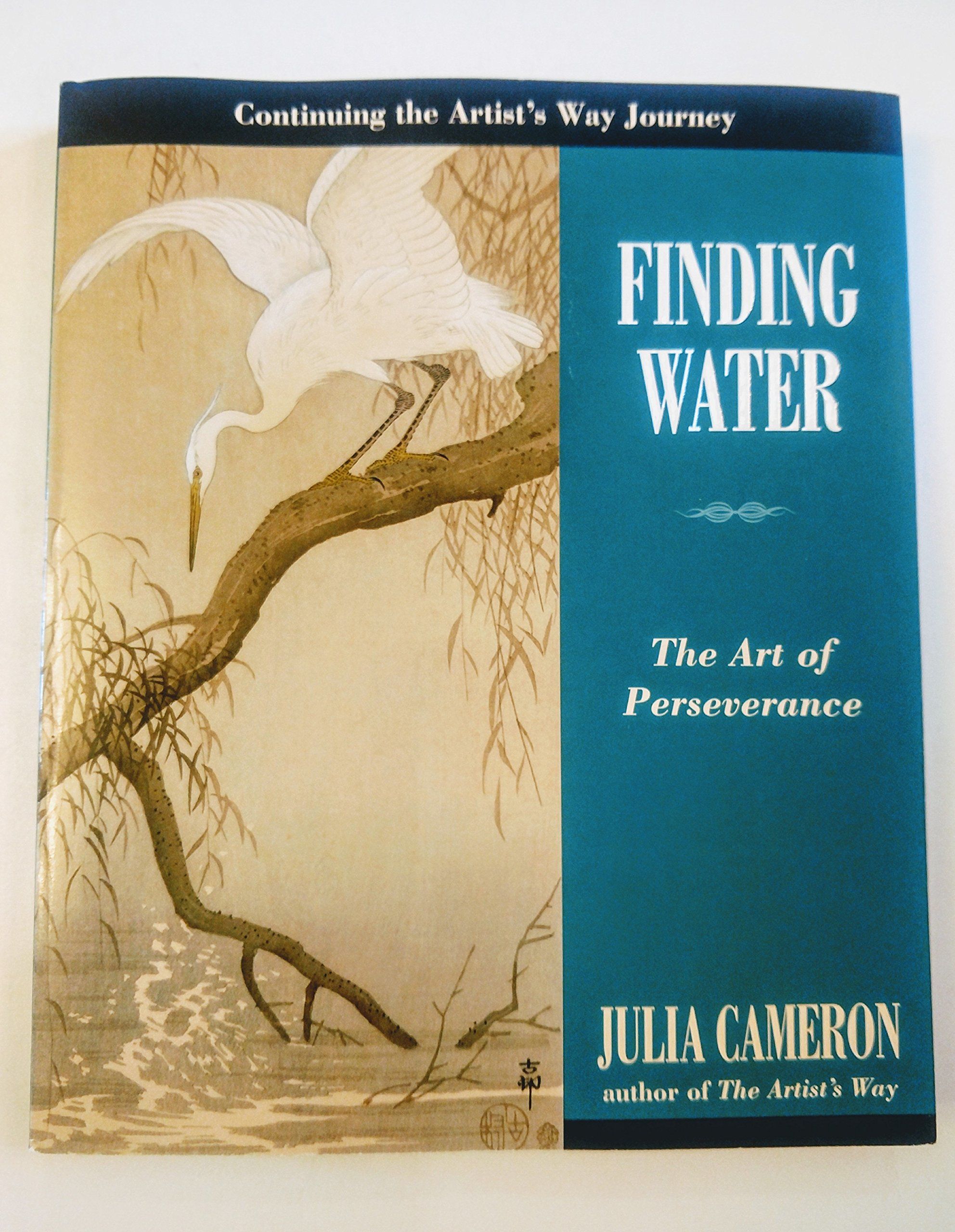 BIBLIO | Finding Water by Julia Cameron | Paperback | 2009-12 | Tarcher ...