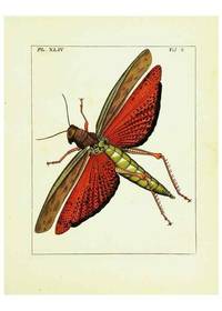 Reproducción/Reproduction 9245781541: Illustrations of natural history ...