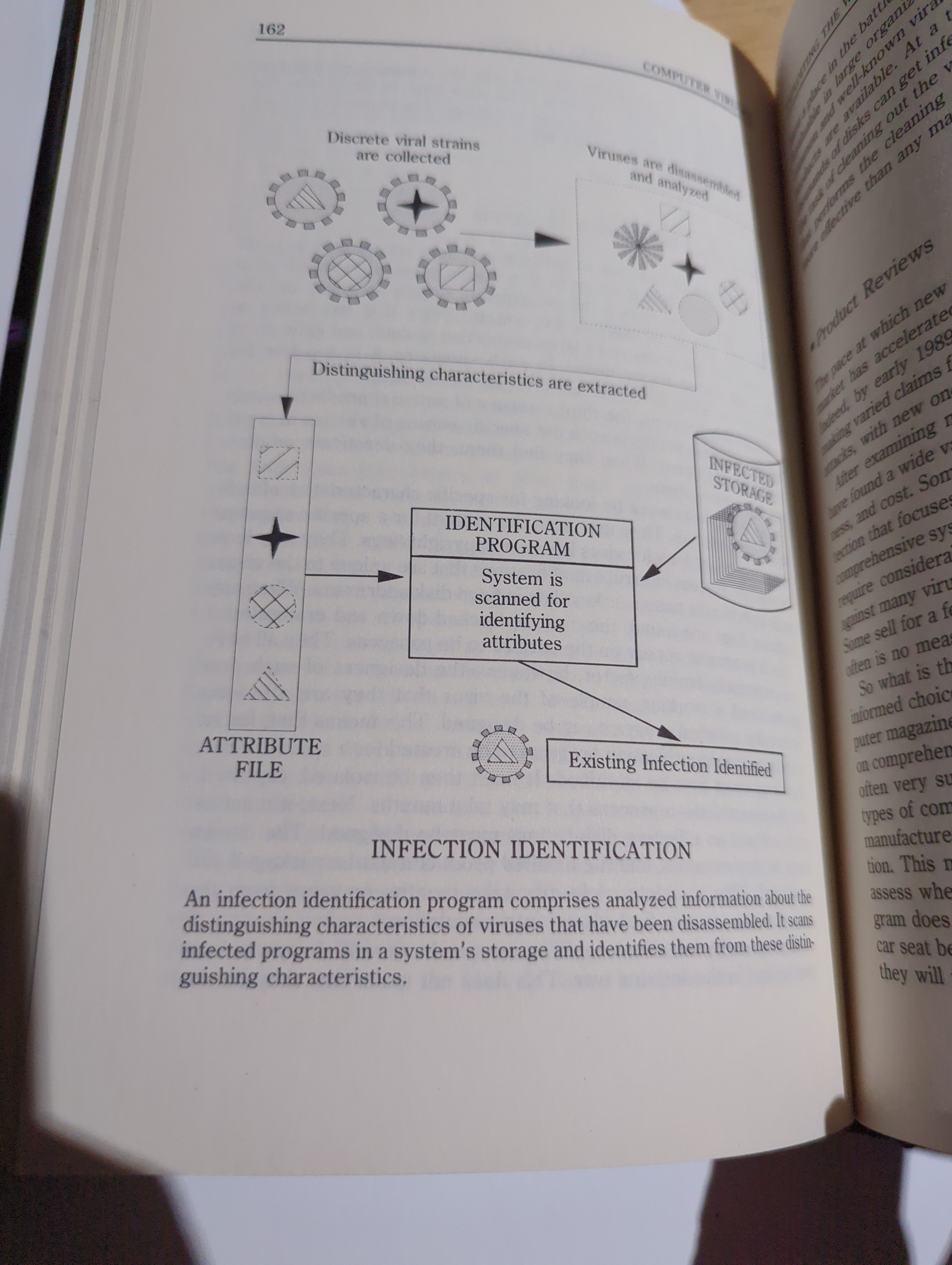 Computer Viruses, Worms, Data Diddlers, Killer Programs, and Other ...