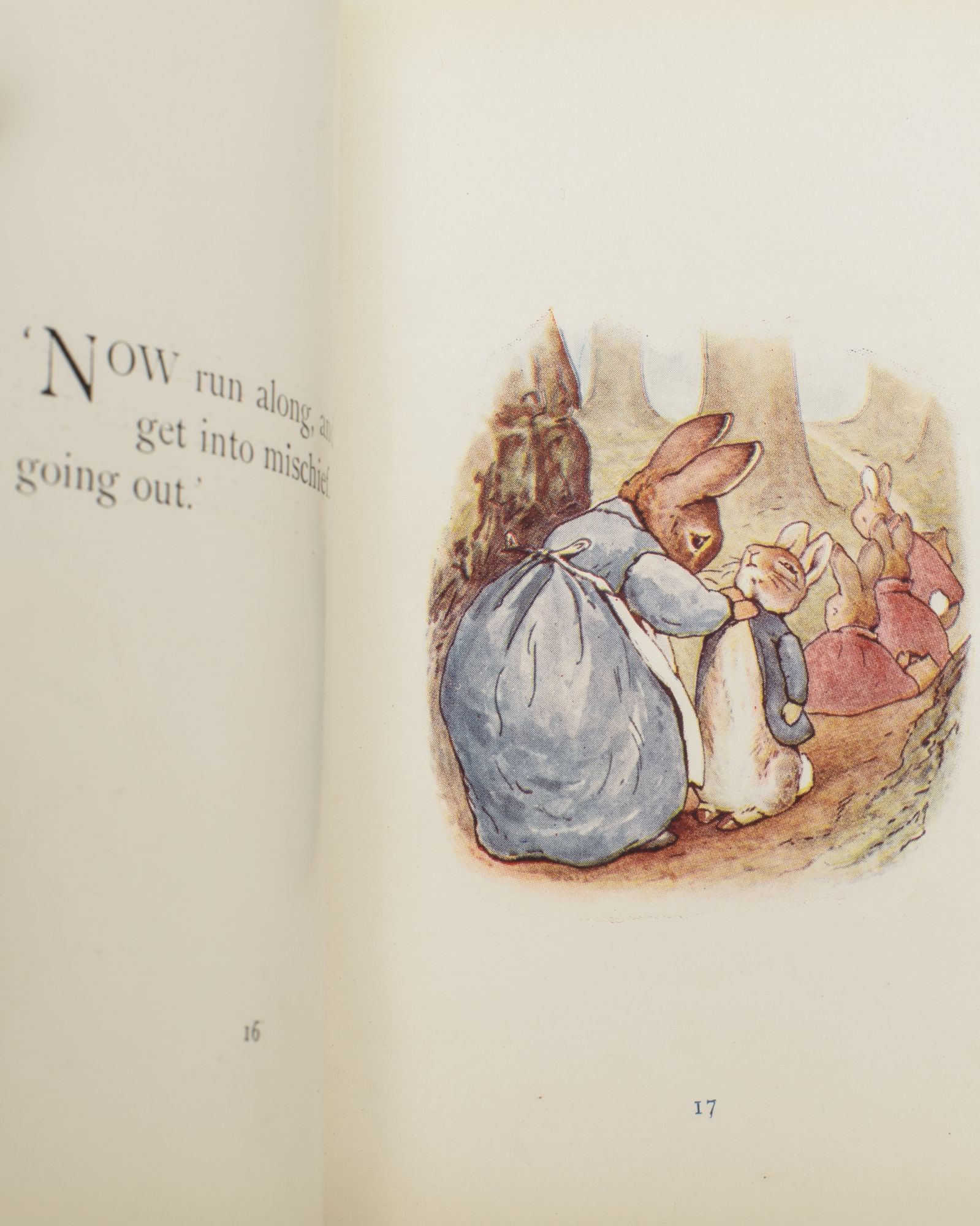 THE TALE OF PETER RABBIT by Beatrix Potter - First Edition - 1902 ...
