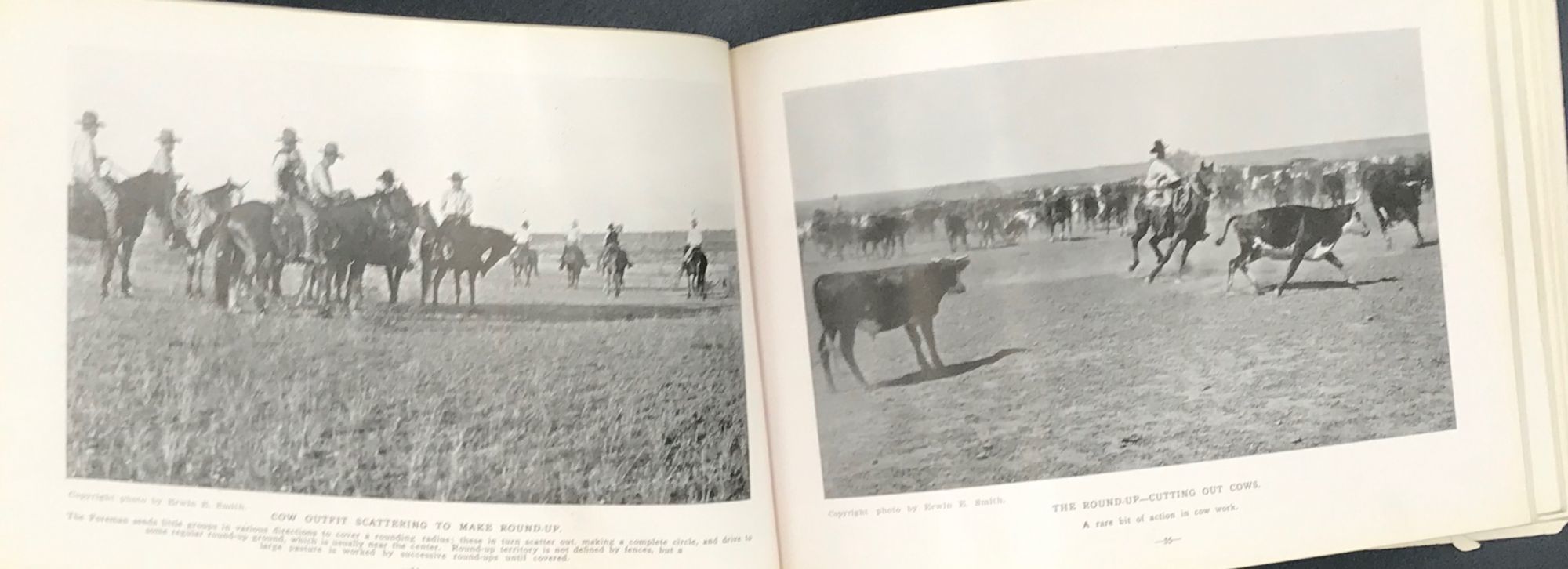 EARLY MATURING - MARKET TOPPERS [cover title] by S.M.S. Ranch - Swenson ...