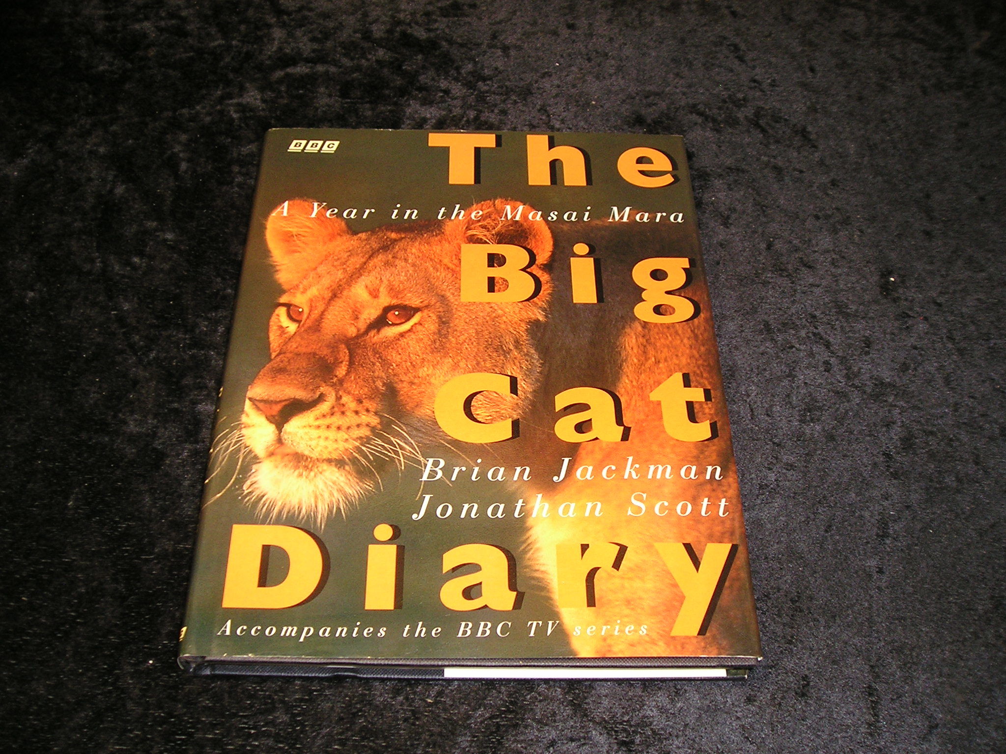 Big Cat Diary Logo