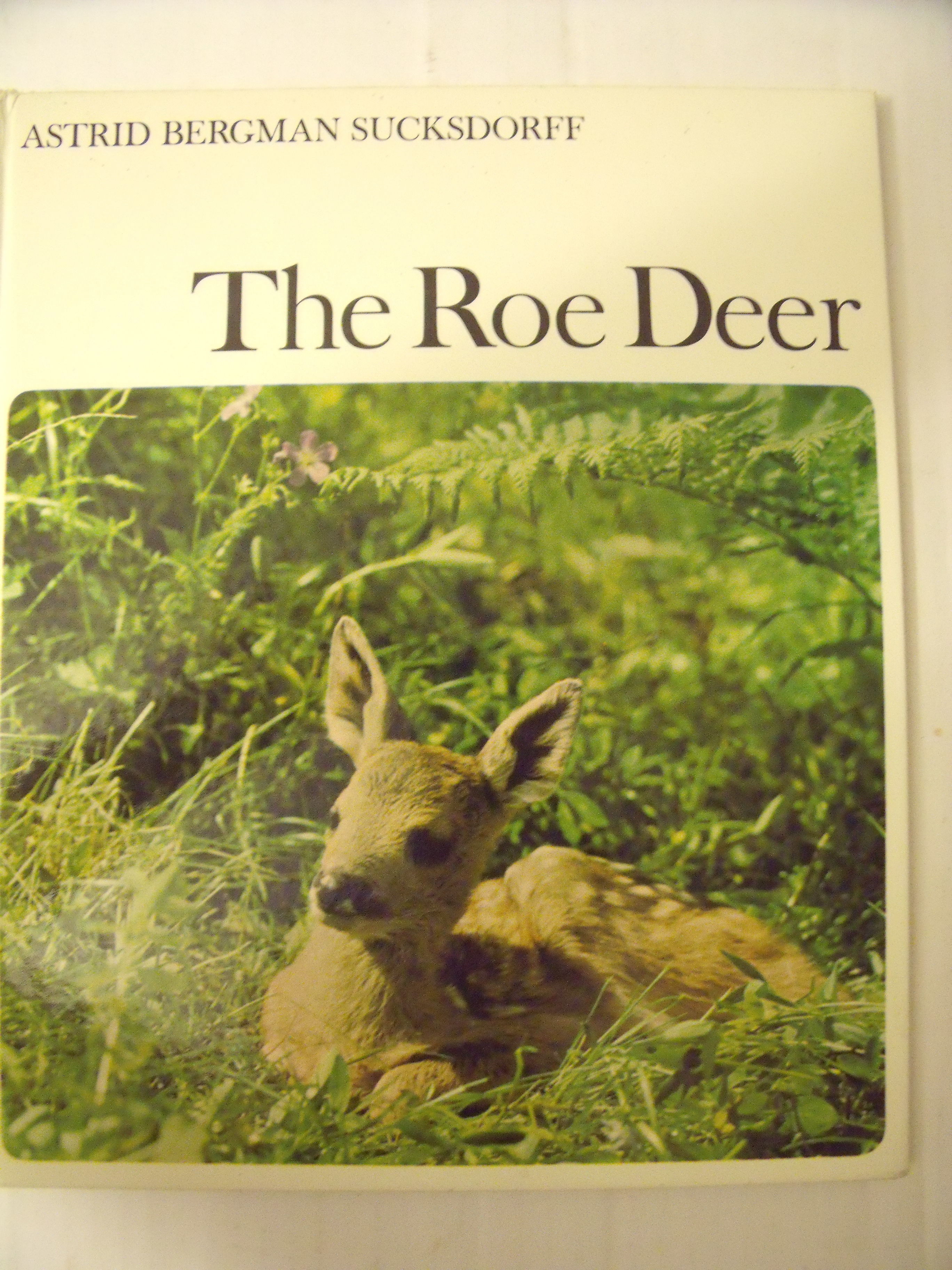 The Roe Deer by Astrid Bergman Sucksdorff - Hardcover - 1967 - from ...