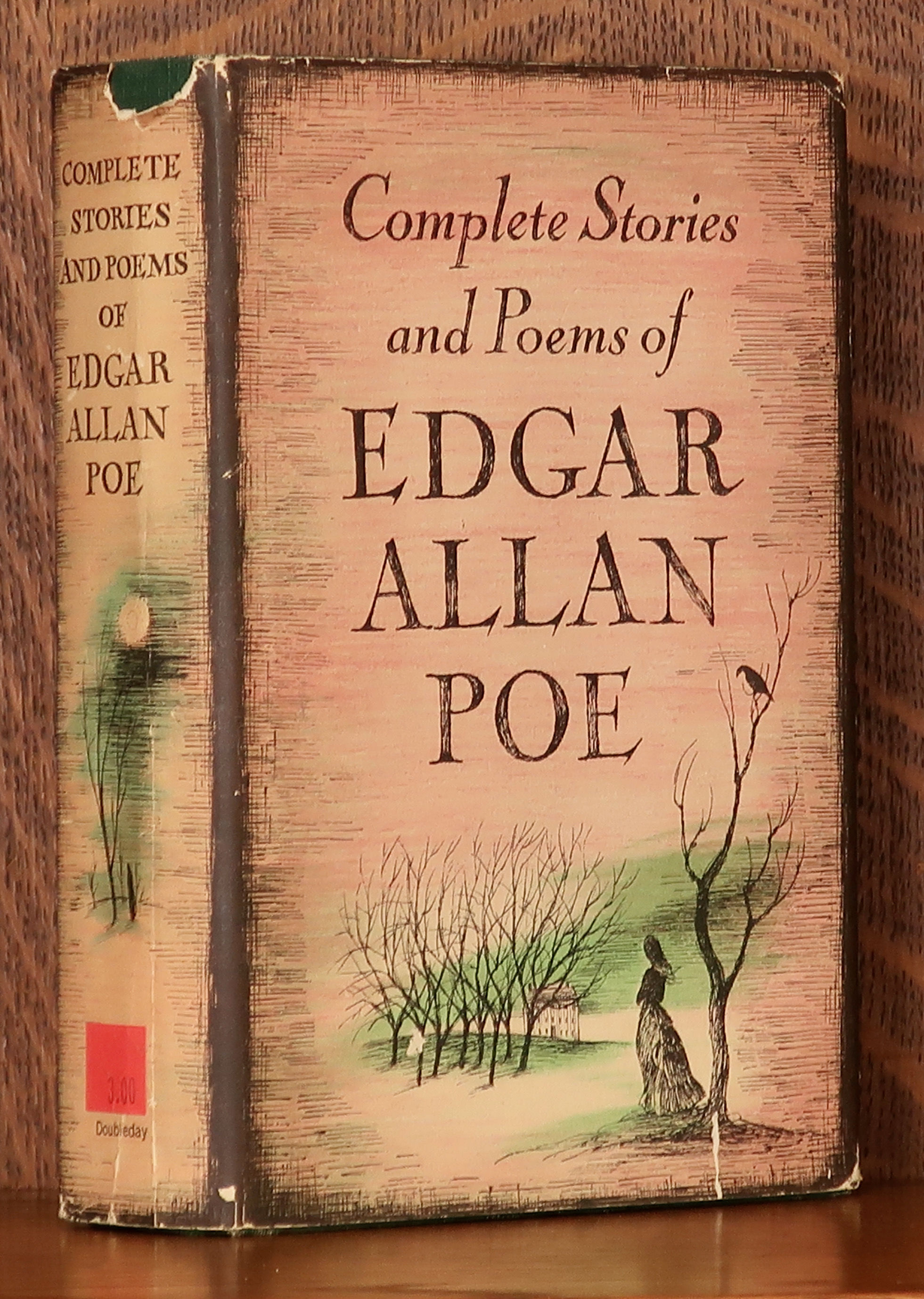 Edgar Allan Poe Book Cover