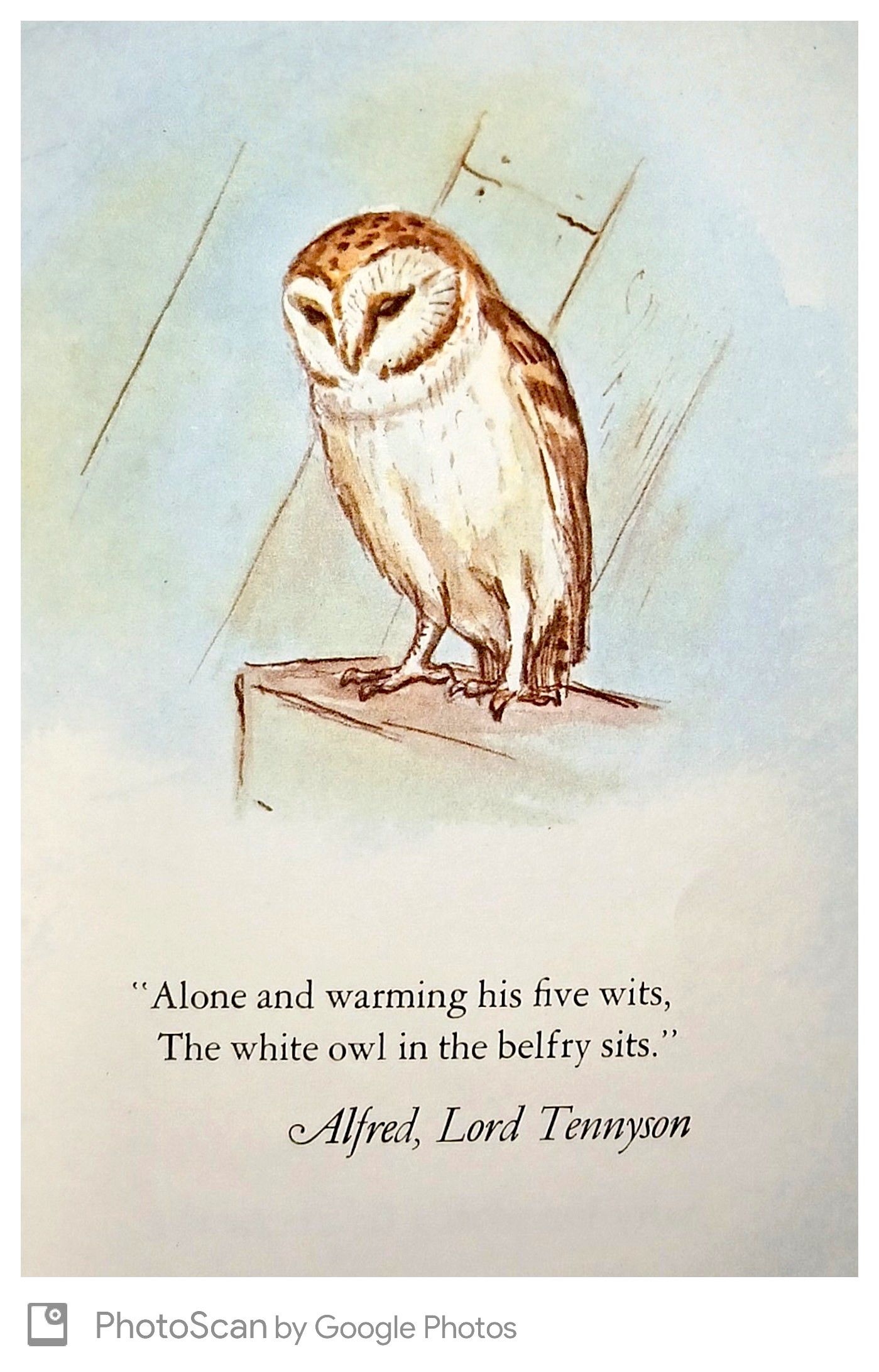 First Delights: A Book about the Five Senses by Tasha Tudor | HB | 1966 ...