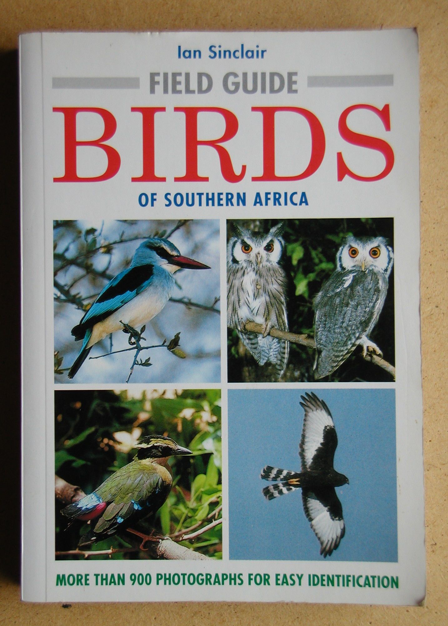 South African Birds Identification