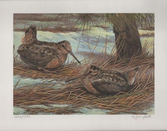 1986 Conservation Stamp Print No. 8: American Woodcock series print No ...