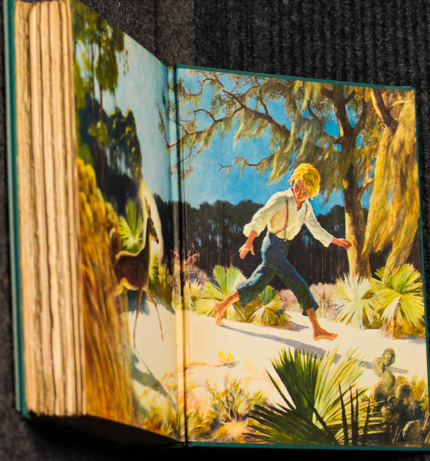 The Yearling [signed By N. C. Wyeth And Marjoire Rawlings 1/750 To be ...