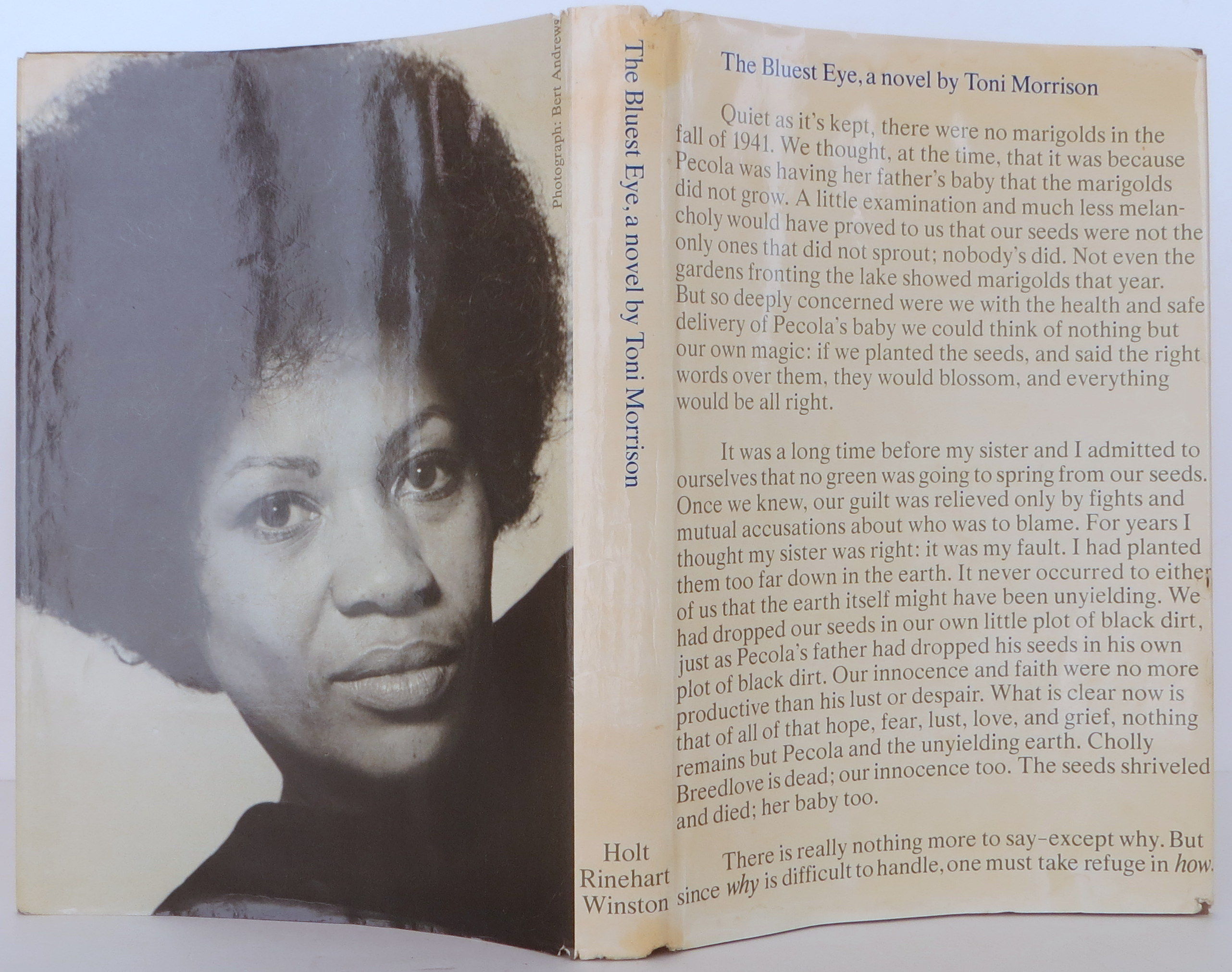 Toni morrison the eye - pasashutter