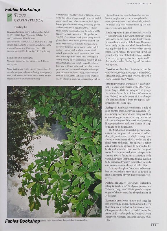 FIGS OF SOUTHERN & SOUTH-CENTRAL AFRICA. by Burrows, John & Sandra ...