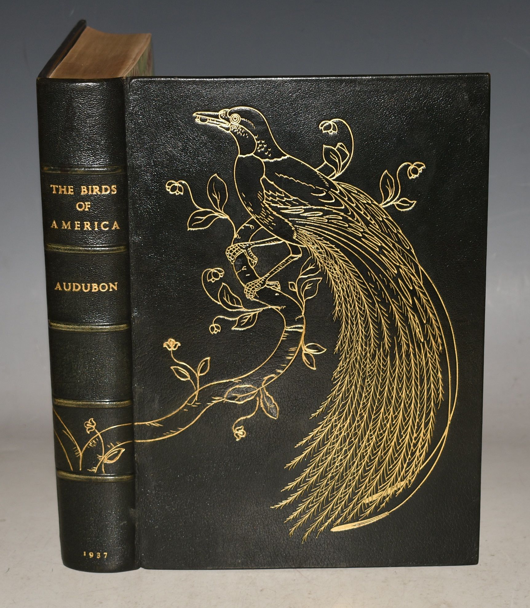 The Birds of America. With an Introduction and Descriptive Text by ...