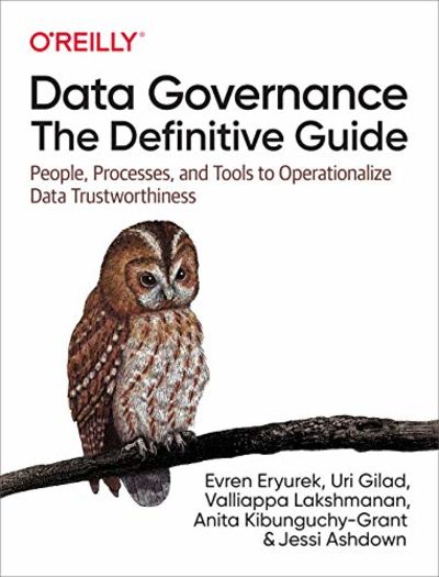 Data Governance The Definitive Guide People Processes And Tools To