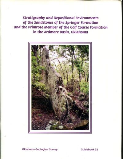 Stratigraphy and depositional environments of the sandstones of the ...