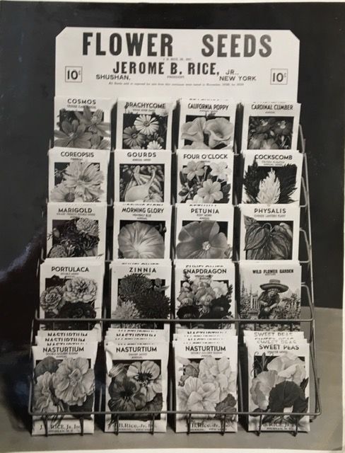 Vegetable & flower seeds from J.B. Rice, Jr., Inc. [Salesman sample ...