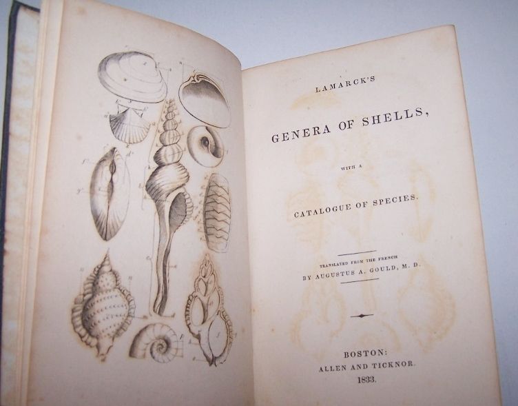 Lamarck's Genera of Shells with a Catalogue of Species by Lamarck, Jean ...