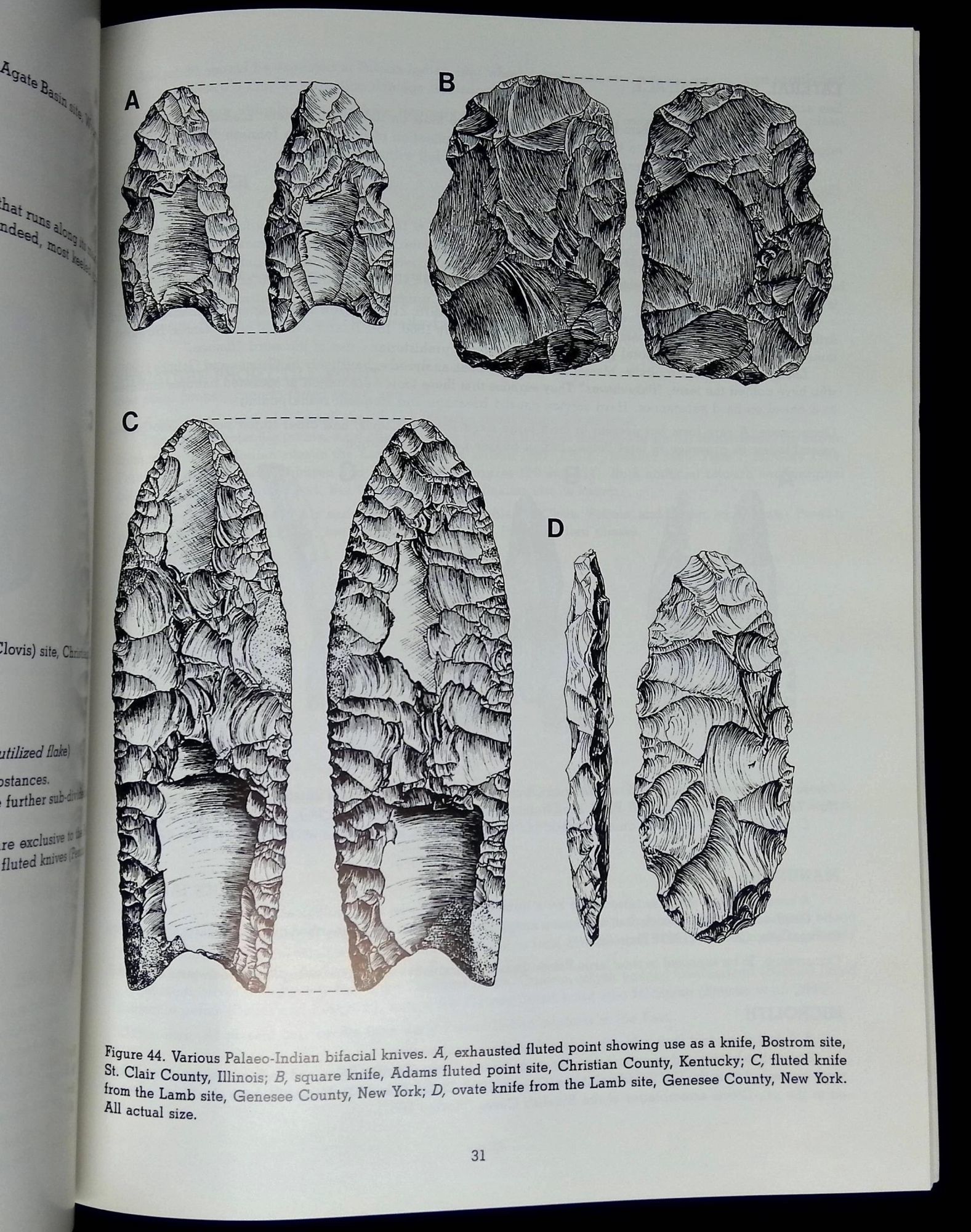 Guide to the Palaeo-Indian Artifacts of North America by Richard ...