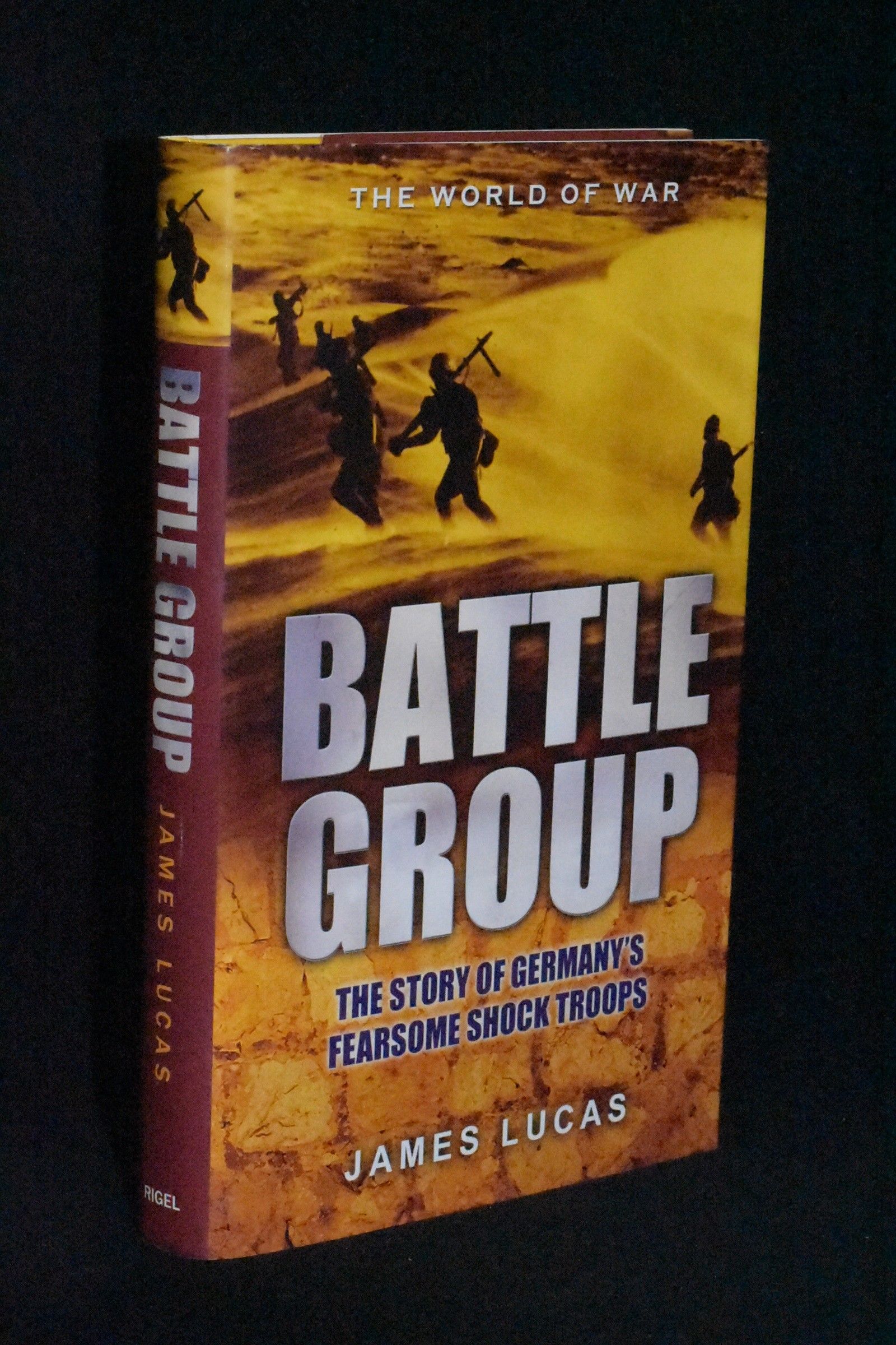 Battle Group: The Story of Germany's Fearsome Shock Troops by James ...