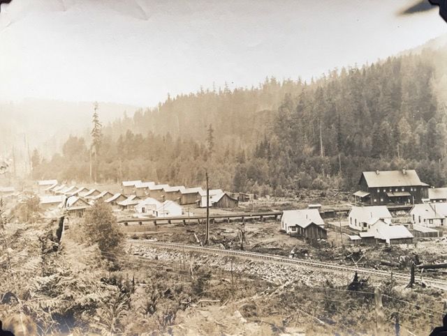 [An outstanding photo album filled with 43 sepia-tinted photographs ...