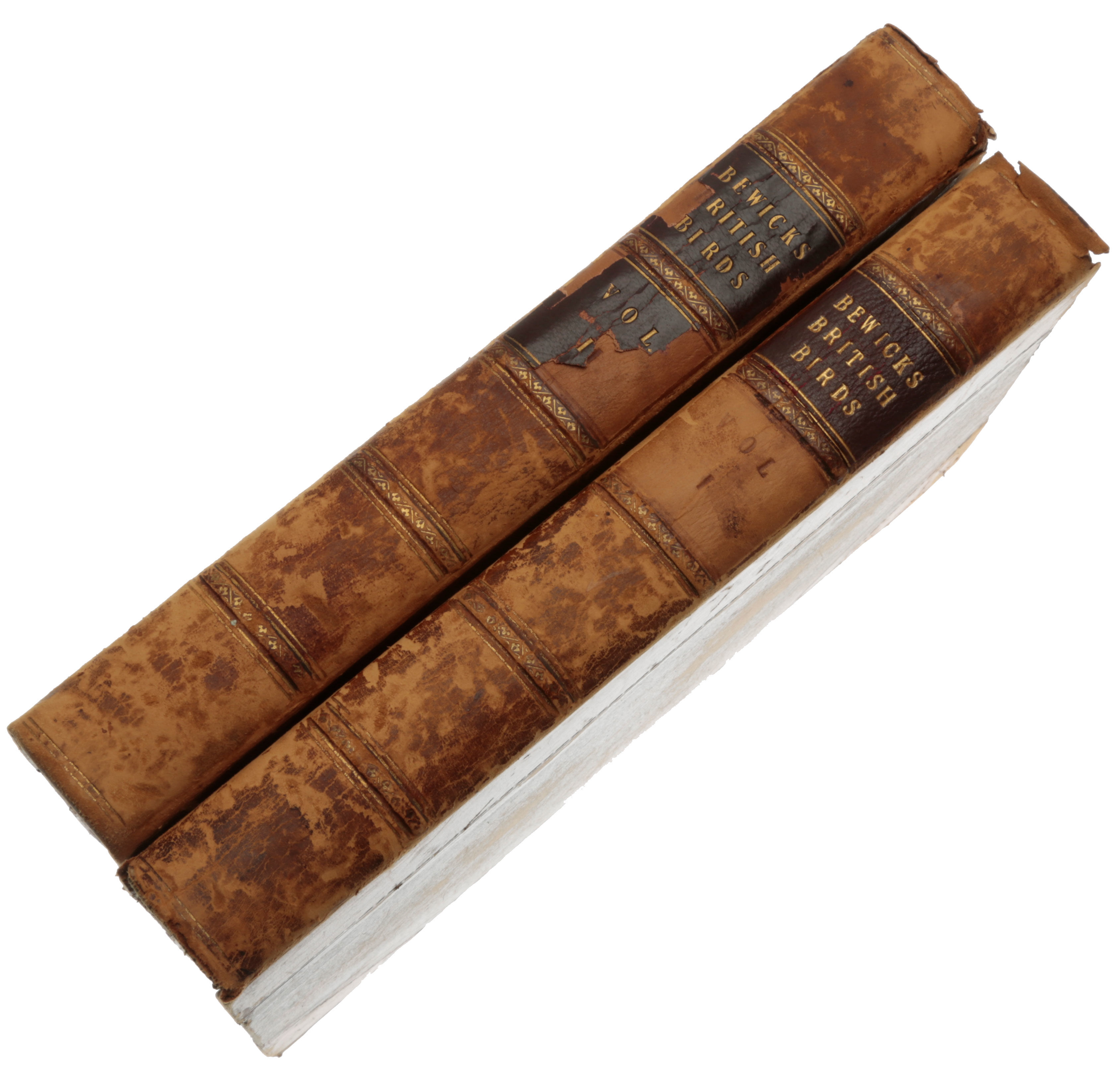 A History of British Birds. Vol. I, Land Birds, Eighth edition; Vol. II ...